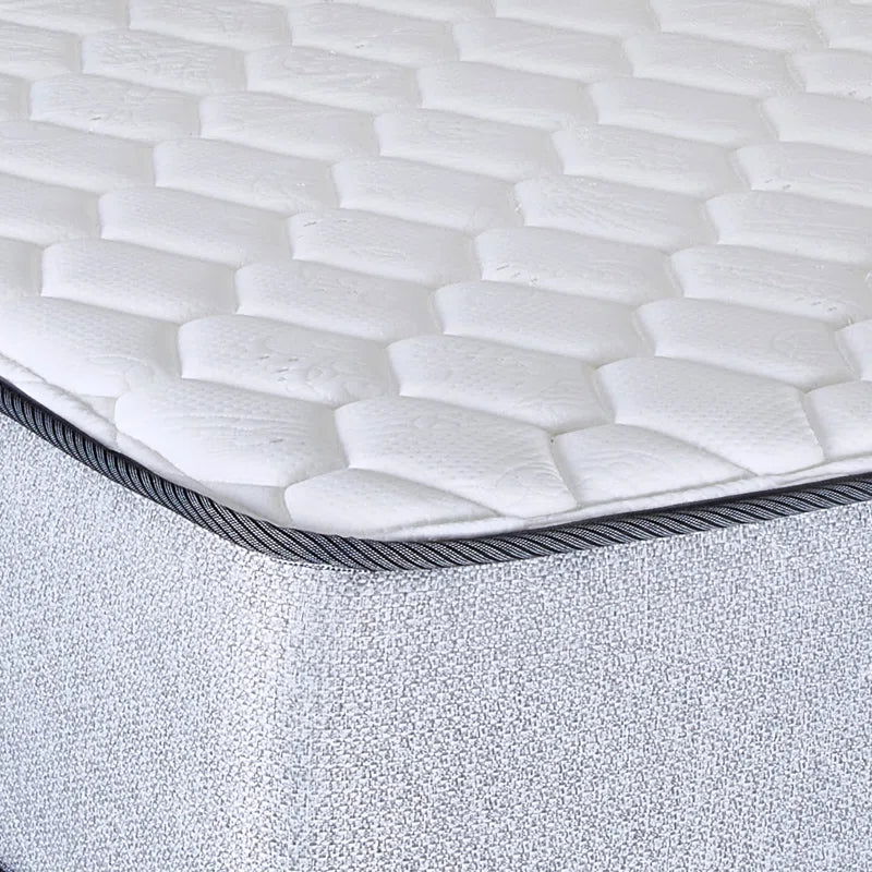 Wrinkle Memory Foam Ortho Plus Quilted Mattress – Furnishiaa